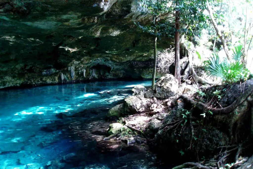 Discover the Best Cenotes Near Puerto Aventuras - 2024