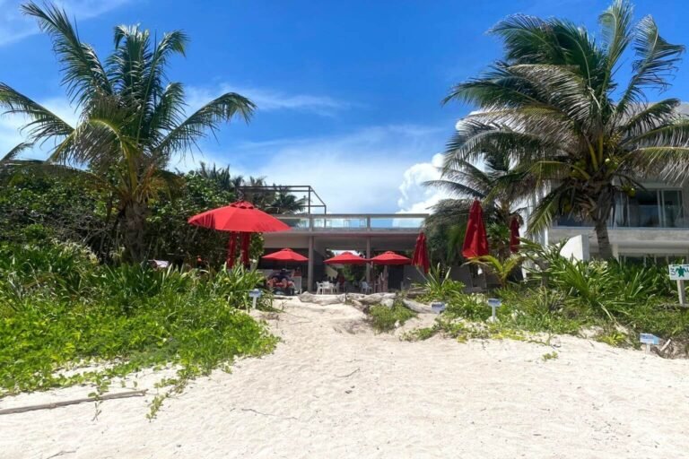 10 Best Riviera Maya Beach Clubs in and around Puerto Aventuras