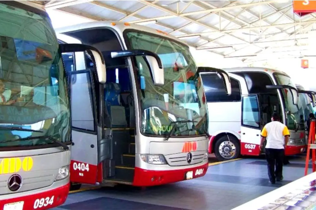 How to Get to Puerto Aventuras - A Complete Guide